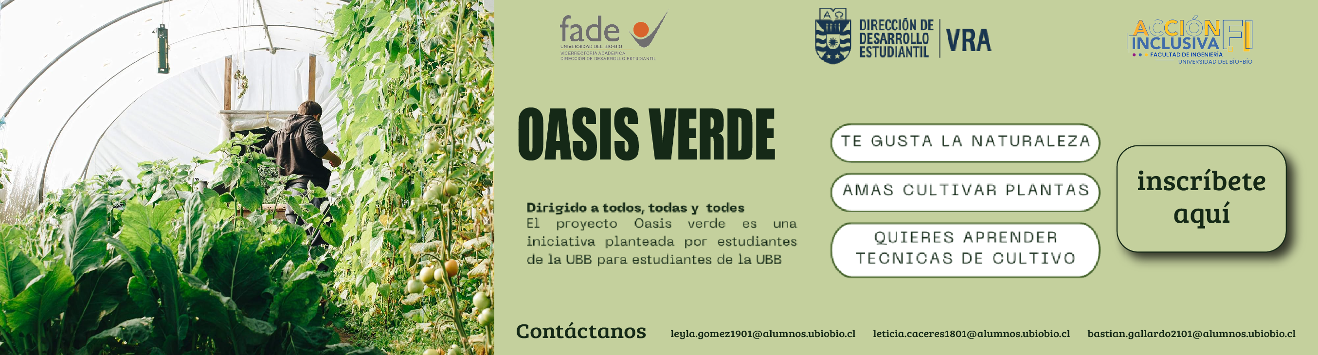 Facultad Ingeniería - UBB